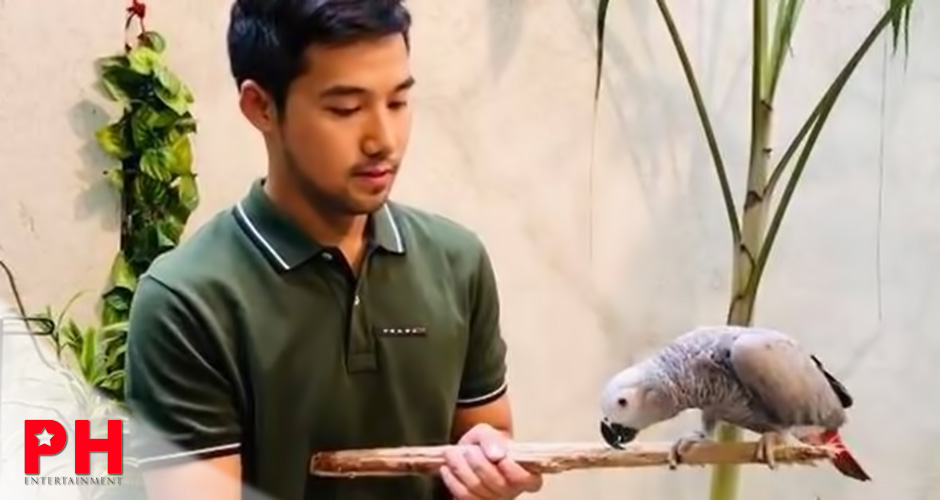 Ken Chan, may bagong pinagkakaabalahan habang naka-quarantine - PH ...