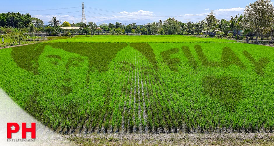 LOOK: FiLay loveteam, unstoppable ang kasikatan! - PH Entertainment ...